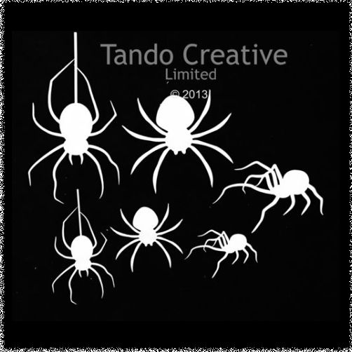 Bag of spiders store